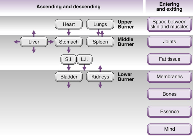 The Foundations of Chinese Medicine