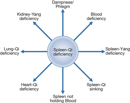 The Foundations of Chinese Medicine