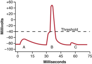 Guyton and Hall Textbook of Medical Physiology