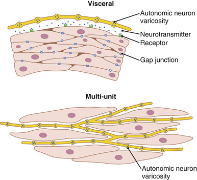 Guyton and Hall Textbook of Medical Physiology