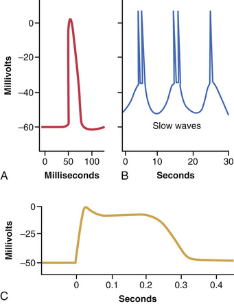 Guyton and Hall Textbook of Medical Physiology