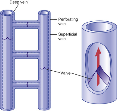 Guyton and Hall Textbook of Medical Physiology