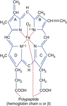 Guyton and Hall Textbook of Medical Physiology