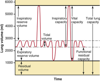 Guyton and Hall Textbook of Medical Physiology