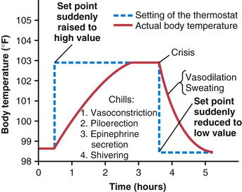 Guyton and Hall Textbook of Medical Physiology