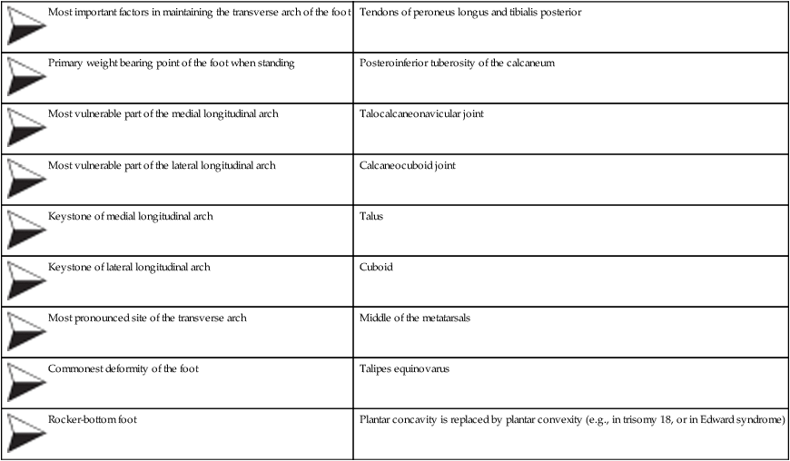 Chapter 31: Arches of the Foot