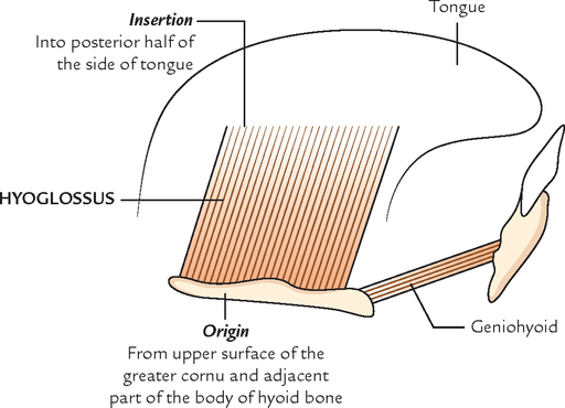 Chapter 9: Submandibular Region