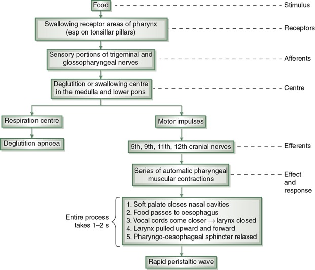 Textbook of Medical Physiology