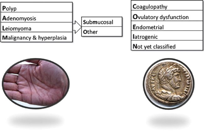 Howkins & Bourne Shaw's Textbook of Gynecology