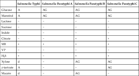 Textbook of Microbiology and Immunology