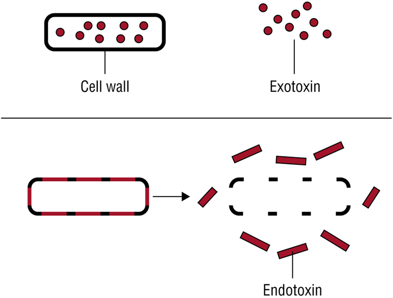 Textbook of Microbiology and Immunology