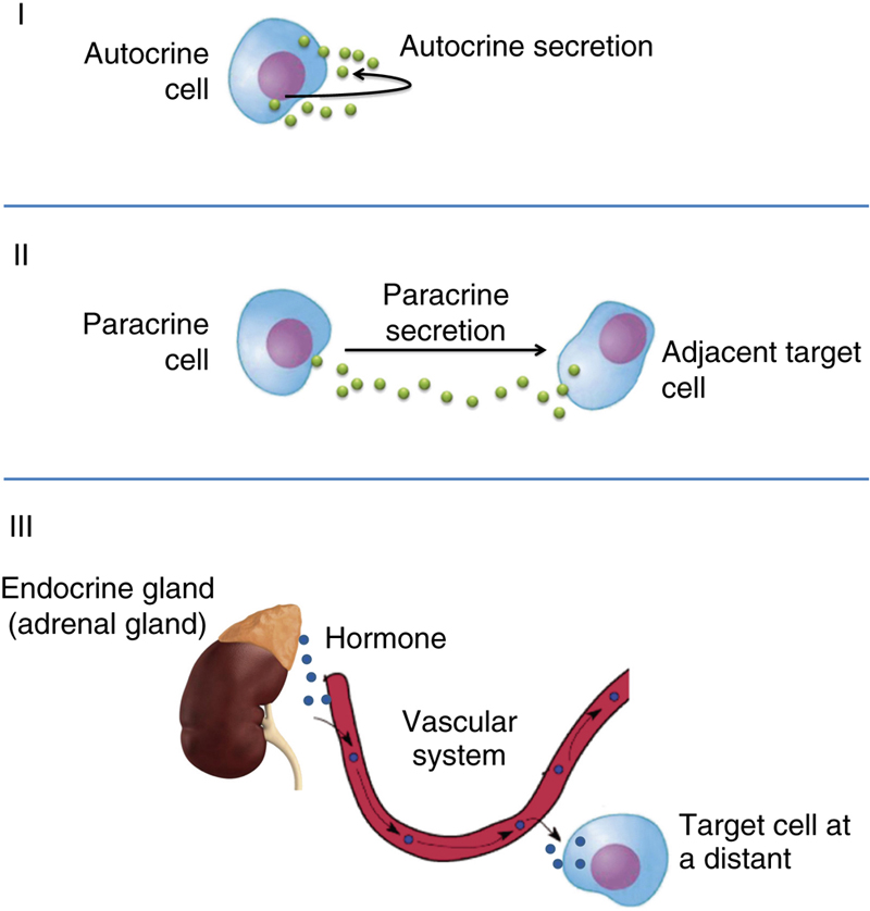 Guyton & Hall Textbook of Medical Physiology