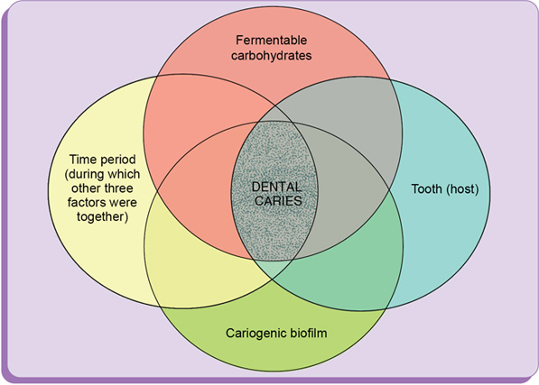 Preclinical Manual of Conservative Dentistry and Endodontics