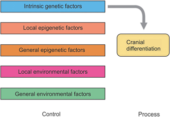 Textbook of Orthodontics