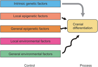 Textbook of Orthodontics
