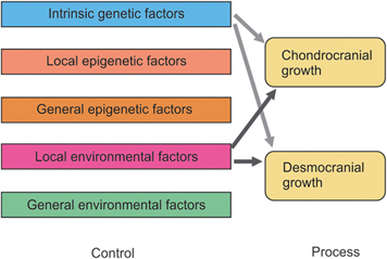 Textbook of Orthodontics