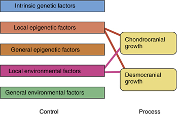 Textbook of Orthodontics
