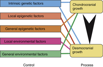 Textbook of Orthodontics