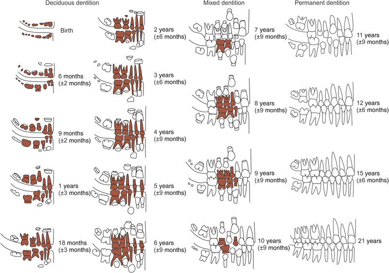 Textbook of Orthodontics