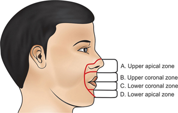 Textbook of Orthodontics