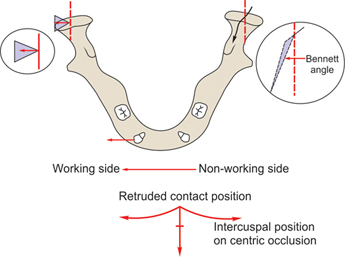 Textbook of Orthodontics