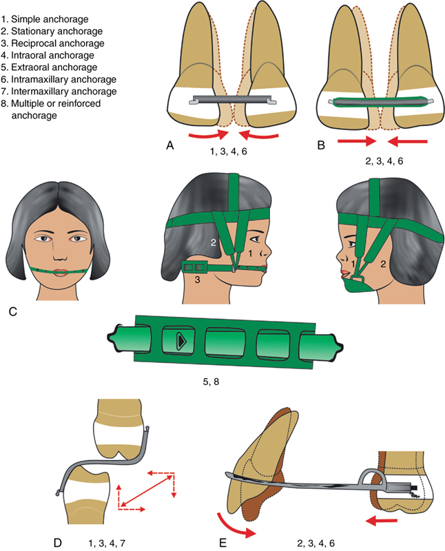 Textbook of Orthodontics