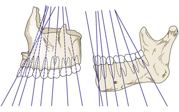 Textbook of Orthodontics