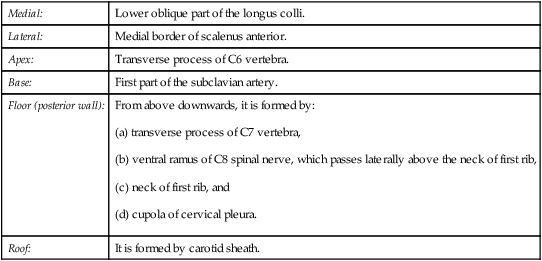 Chapter 12: Pre- and Paravertebral Regions and Root of the Neck