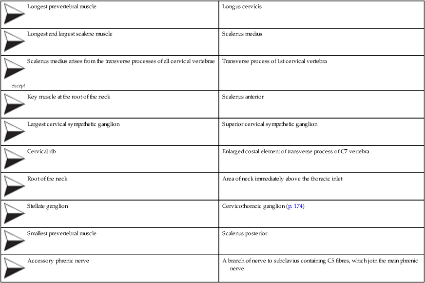 Chapter 12: Pre- and Paravertebral Regions and Root of the Neck