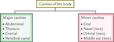 Chapter 3: THE ARCHITECTURE AND DESIGN OF HUMAN BODY