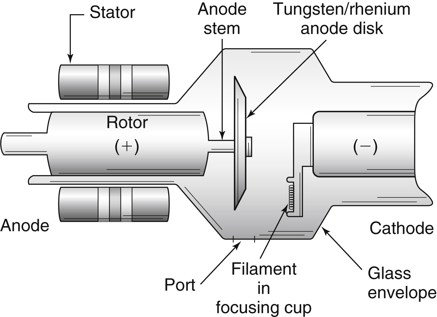 Mosby's Comprehensive Review of Radiography