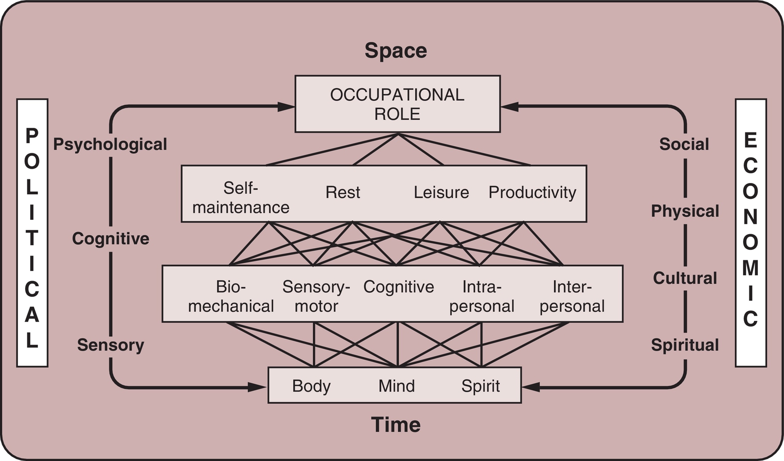 Occupational Therapy for People Experiencing Illness, Injury or Impairment