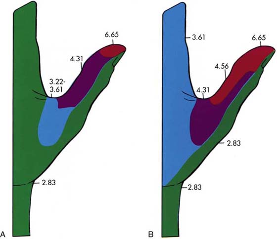 Rehabilitation of the Hand and Upper Extremity