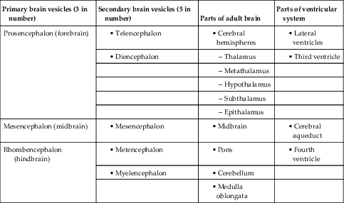 Textbook of Clinical Neuroanatomy